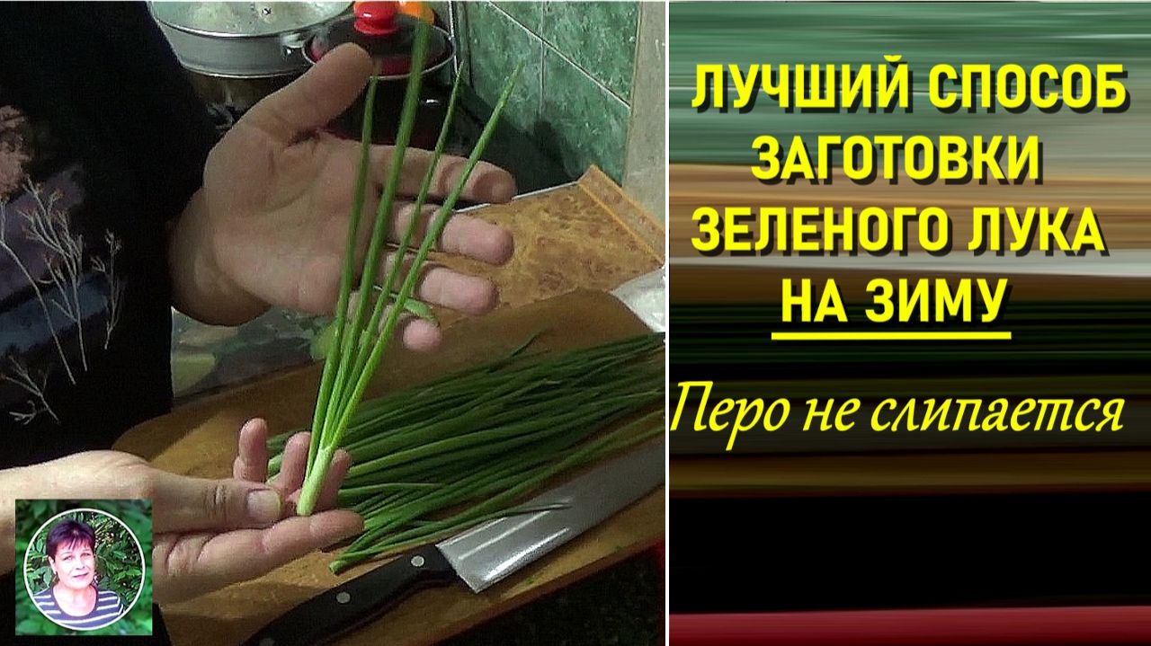 Как заморозить перо зеленого лука на зиму Делаю в Мае – и оно не слипается