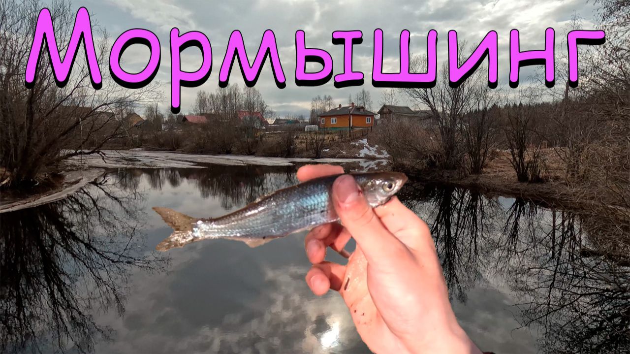 Рыбалка у ручья через неделю после открытия сезона! На мормышку клюёт всё - окуни, подъязки, ельцы!
