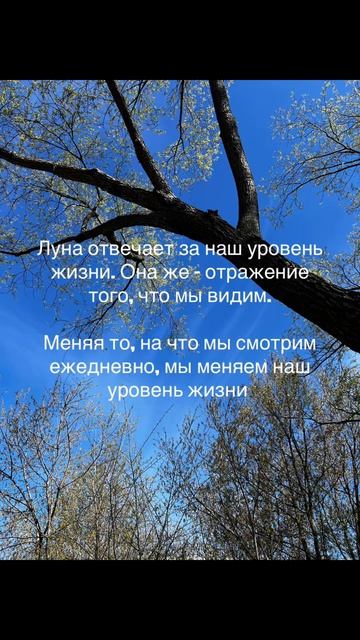 Меняйте то, на что смотрите, и вы измените свою реальность #луна #уровеньжизни #картажеланий