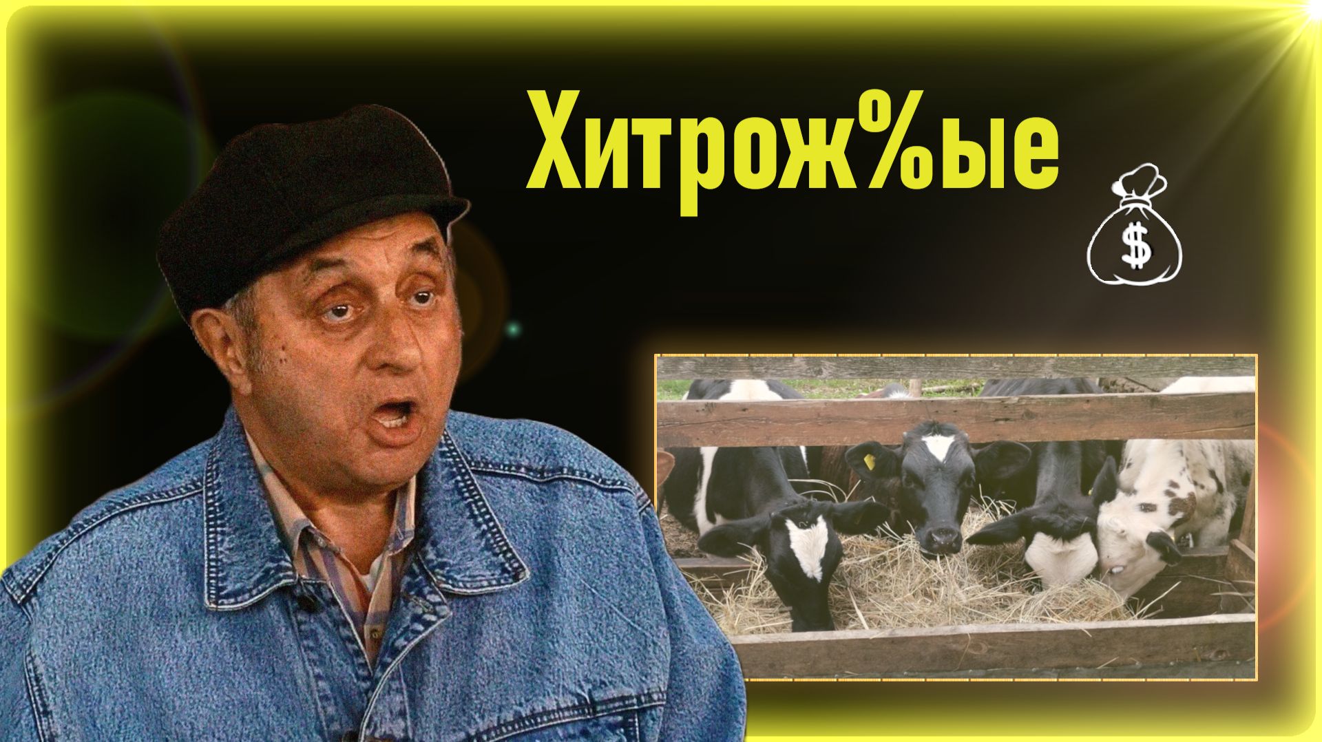 Как купить бычка или хитрые перекупы