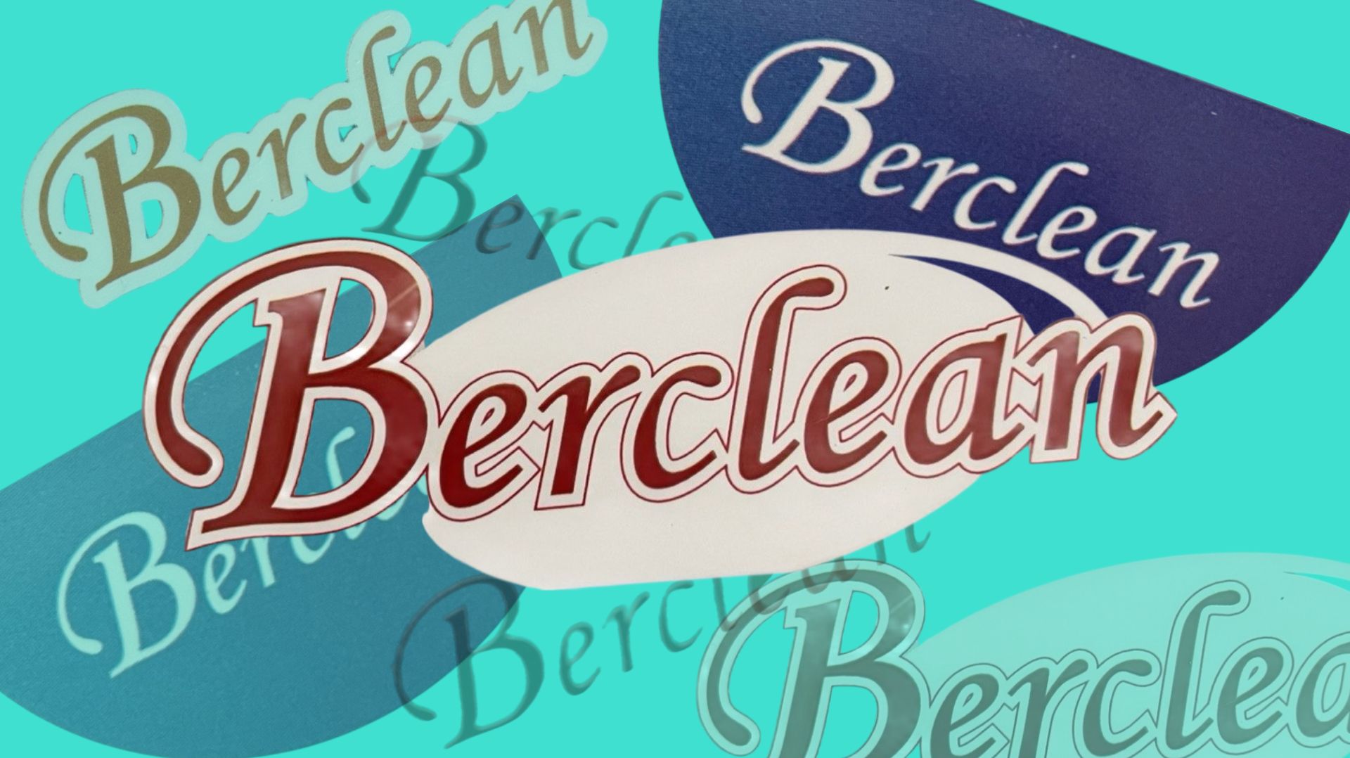 «Berclean: Революция чистоты. Как убирать дом в 3 раза быстрее и без вреда для здоровья?»
