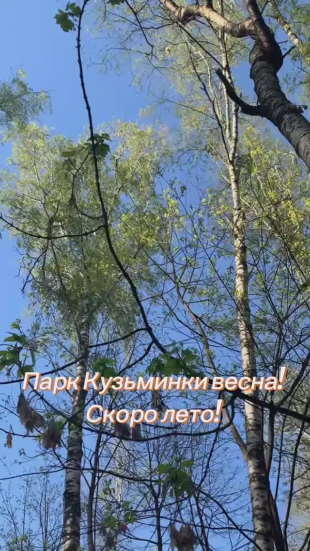 Парк Кузьминки весна #паркт #природа #животные #река