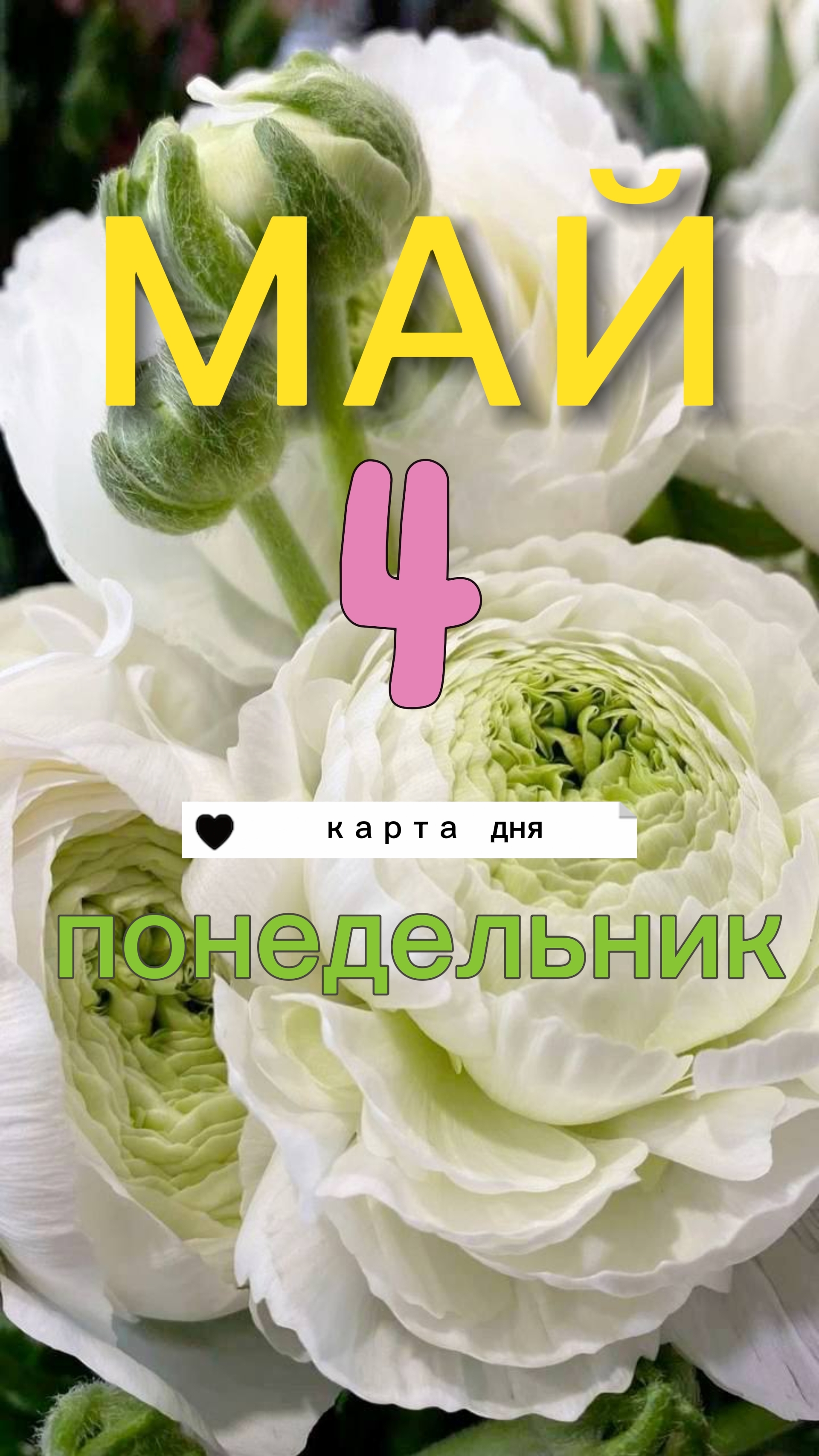 🏆6 Кубков🏆 Карта дня на 04-05-2026