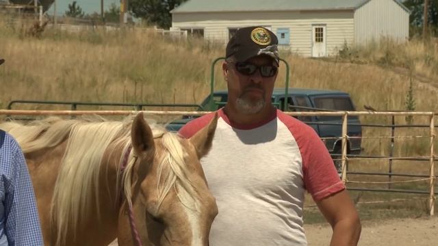 Equine Therapy