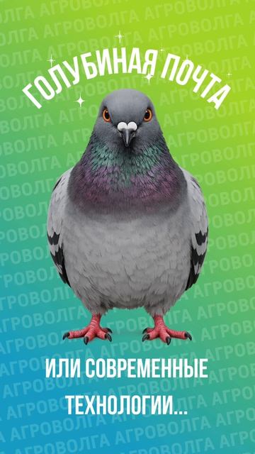 Даже если интернет тормозит - мы всегда остаемся на связи! ☎️