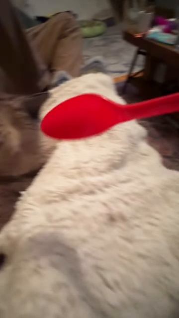 Кушаем кота