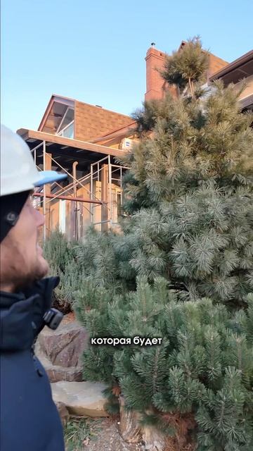 А вы бы сделали навес в своем доме? Или больше склонный к открытому пространству вокруг дома?