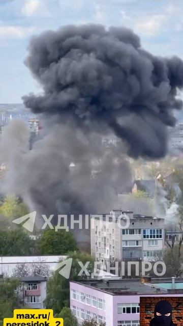 Букет Гераней на майские праздники стране 404
