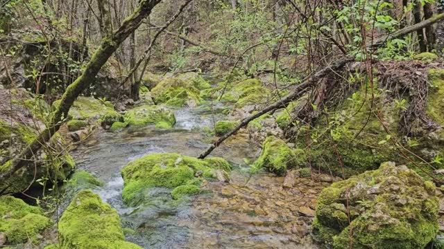 Каньон Узенбаш (Малый каньон Крыма) - ручей-речушка и зеленый мох - 4