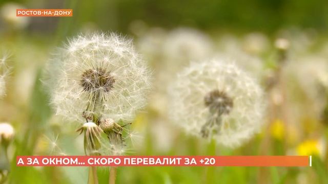 А за окном. 4 апреля 2026