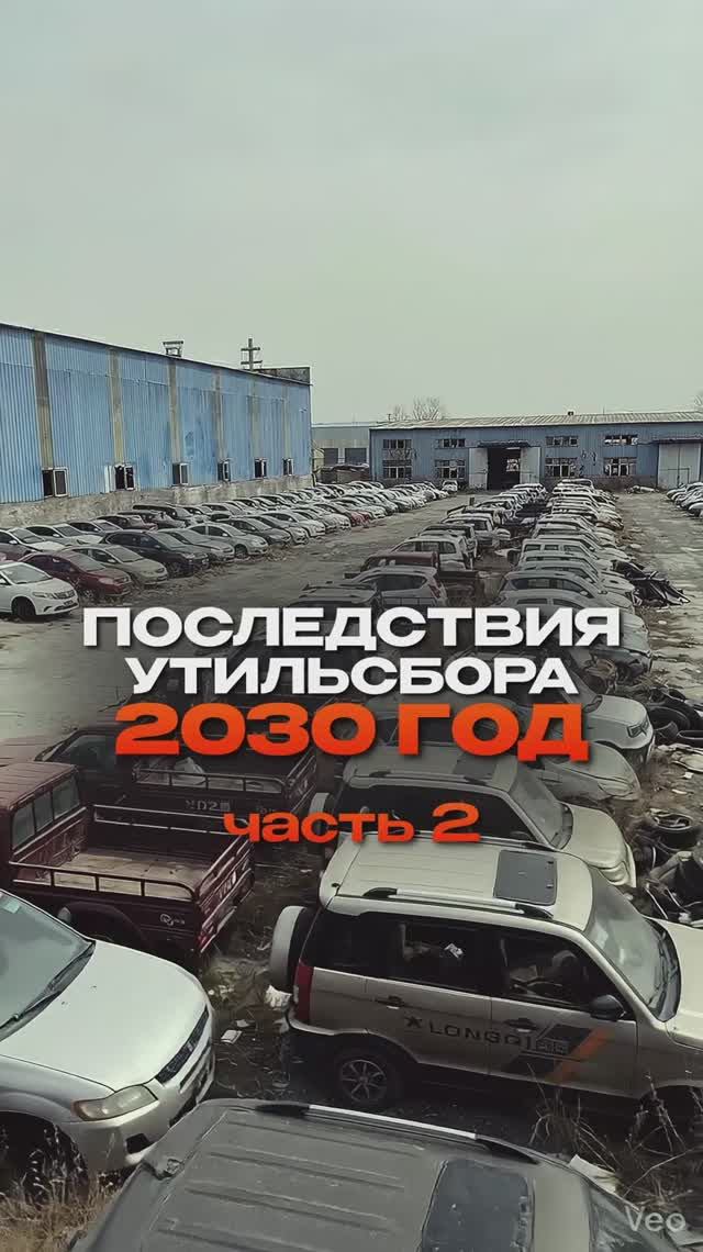 ЕСЛИ УТИЛЬСБОР ПОДНИМУТ ЕЩЕ? Вот что будут продавать в 2030 году