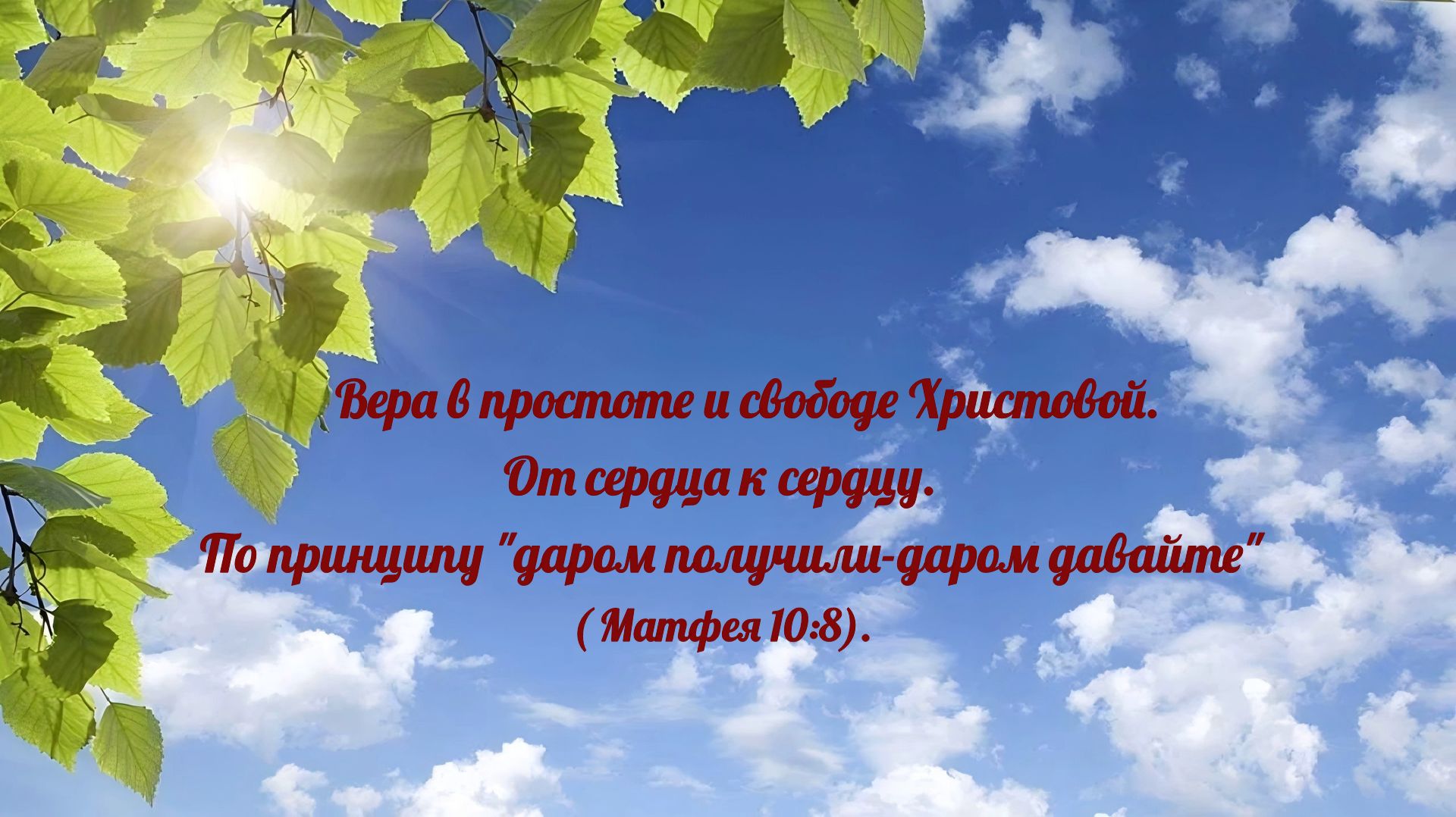 О нас. Видео - приветствие. Новое
