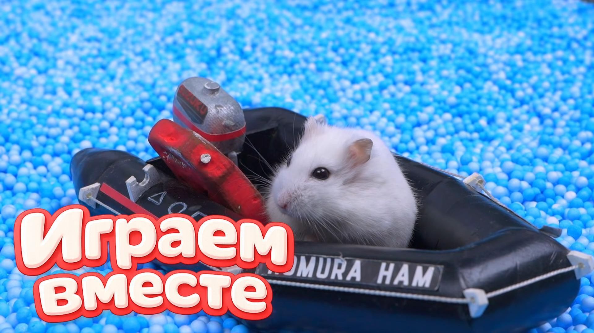 ХОМЯК ВЫБИРАЕТСЯ ИЗ СЕКРЕТНОЙ ХОМЯЧЕЙ ТЮРЬМЫ ! Играем ВМЕСТЕ ! Помогаем выбраться из лабиринта №25