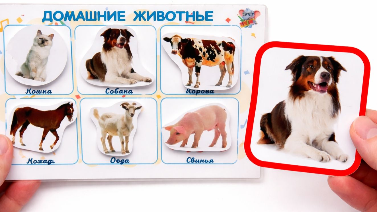 Учим домашних животных 🐮 Развивающее видео для детей | Первые слова