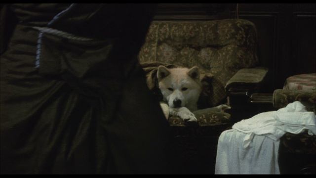 История Хатико (фильм, 1987)
