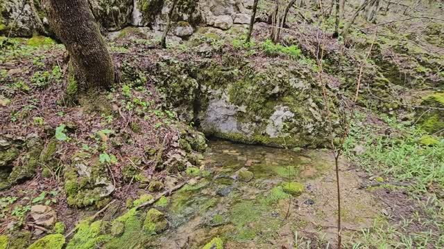 Каньон Узенбаш (Малый каньон Крыма) - ручеёк из под камня