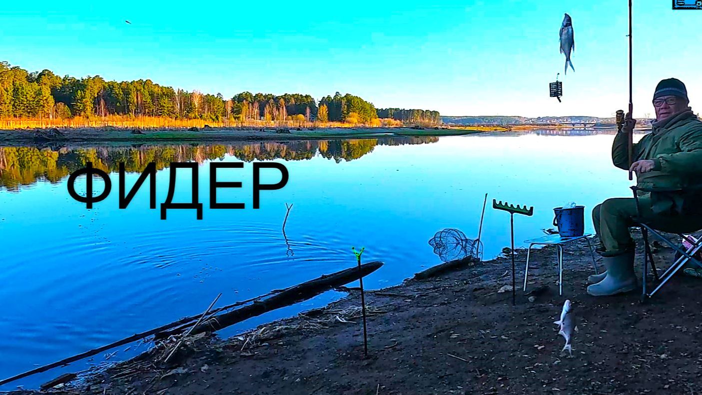 При каждом забросе поклевка.  Удачная рыбалка на фидер на реке.