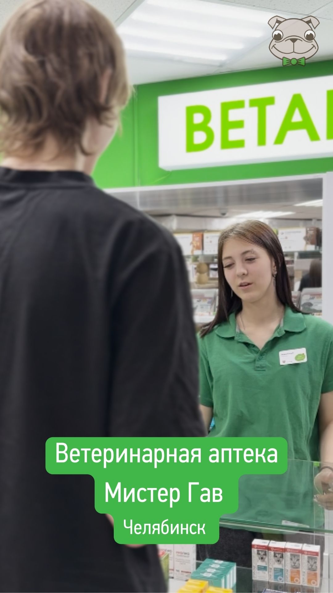 Ветеринарная аптека для собак и кошек | Средства от паразитов для кошек — Мистер Гав, Челябинск