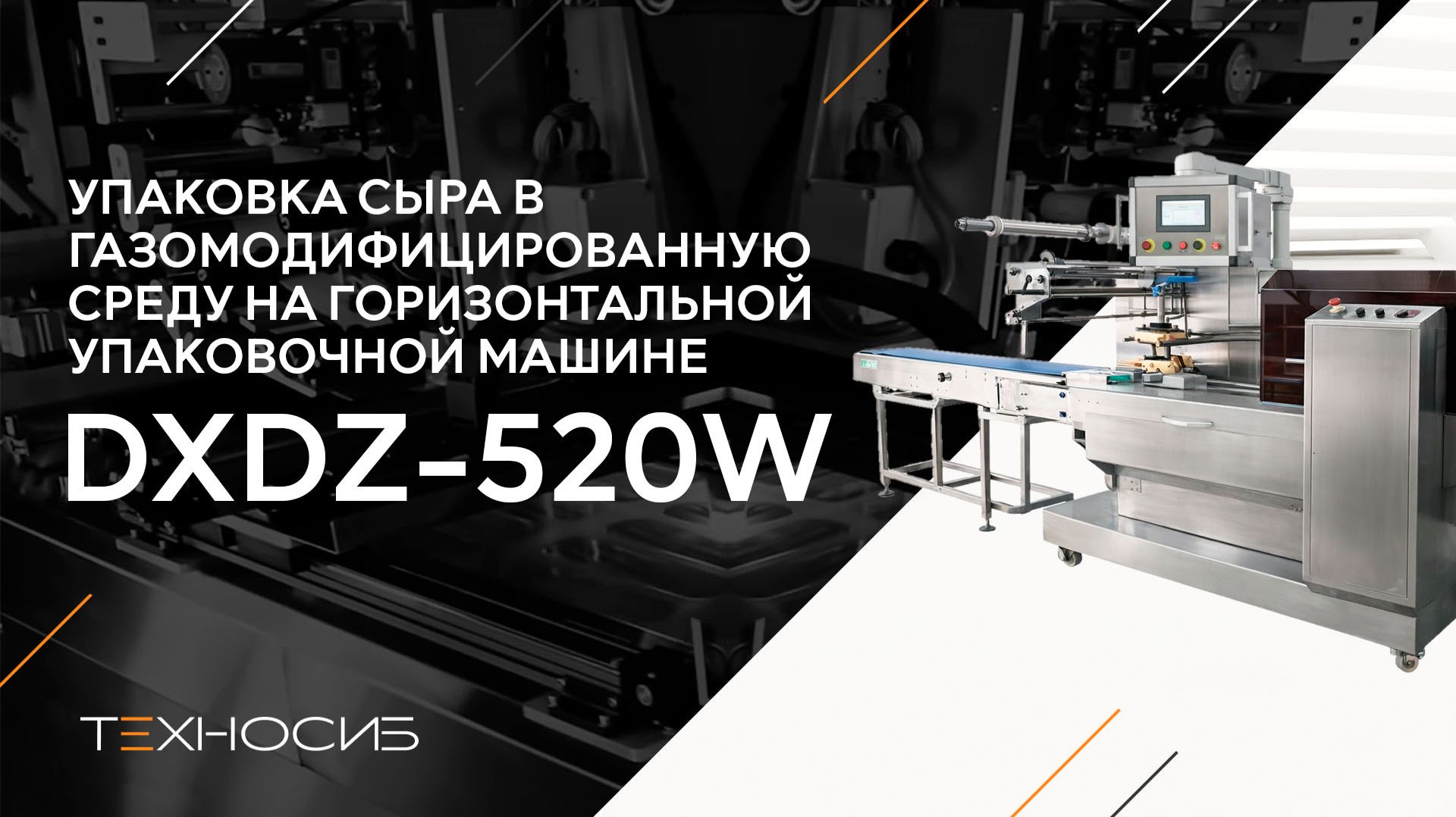 Упаковка сыра в газомодифицированную среду на горизонтальной упаковочной машине DXDZ-520W