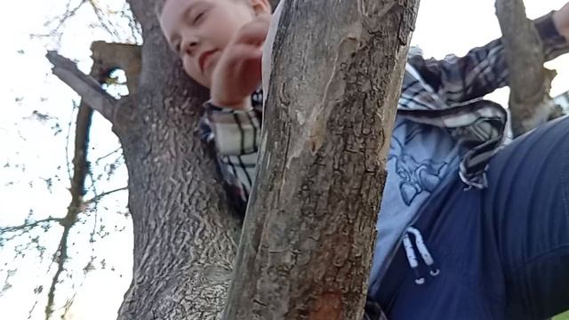миф  1.