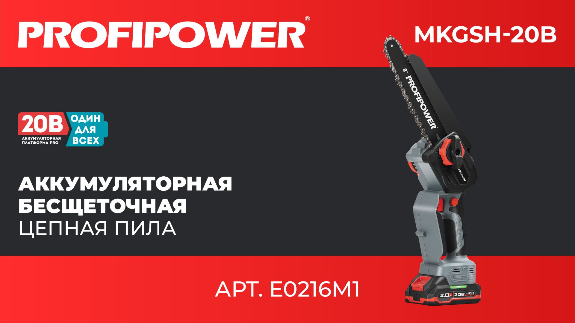 Аккумуляторная бесщеточная цепная пила PROFIPOWER MKGSH-20V Арт.: E0216M1