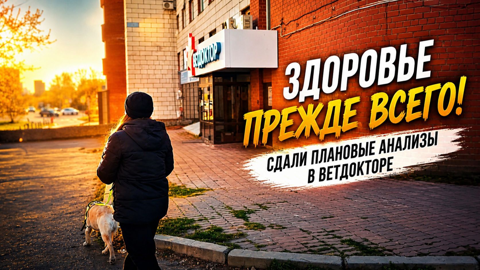 Здоровье прежде всего! Сдали плановые анализы в Ветдокторе