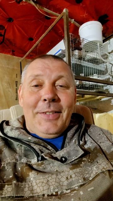 Прощай, покой! Начинается БЕЗУМНЫЙ птичий сезон на Моем Подворье 🐣
