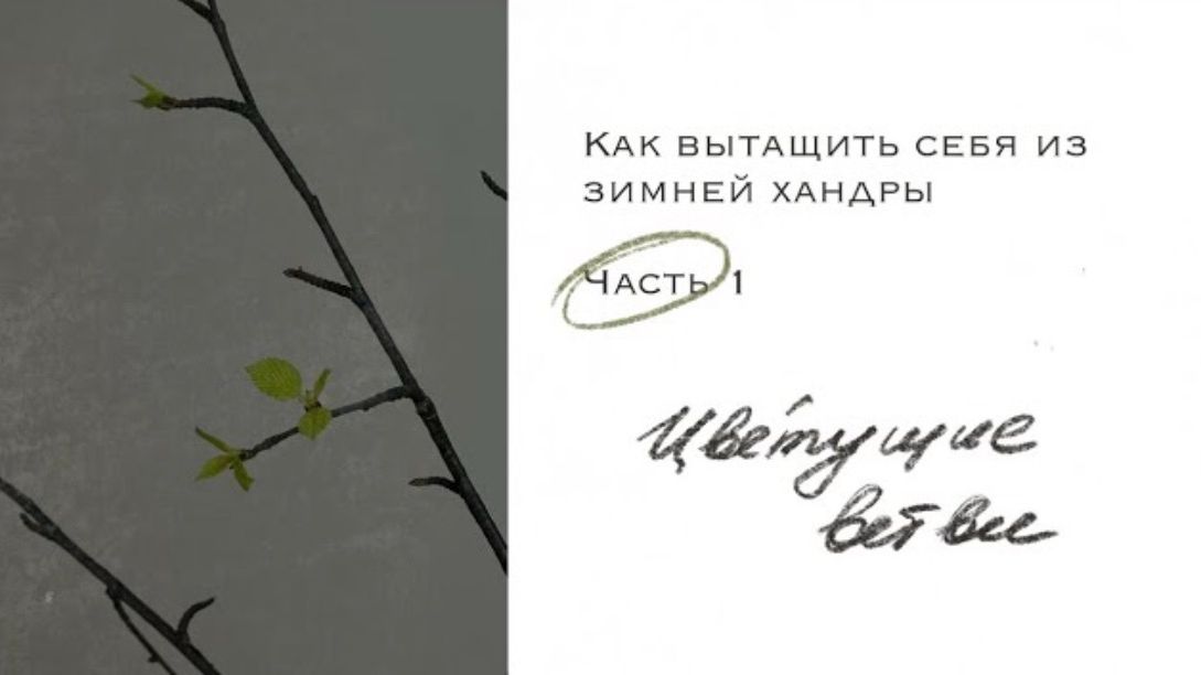 ВЛОГ: Вытаскиваю себя из зимней хандры / Цветущие ветви самостоятельно