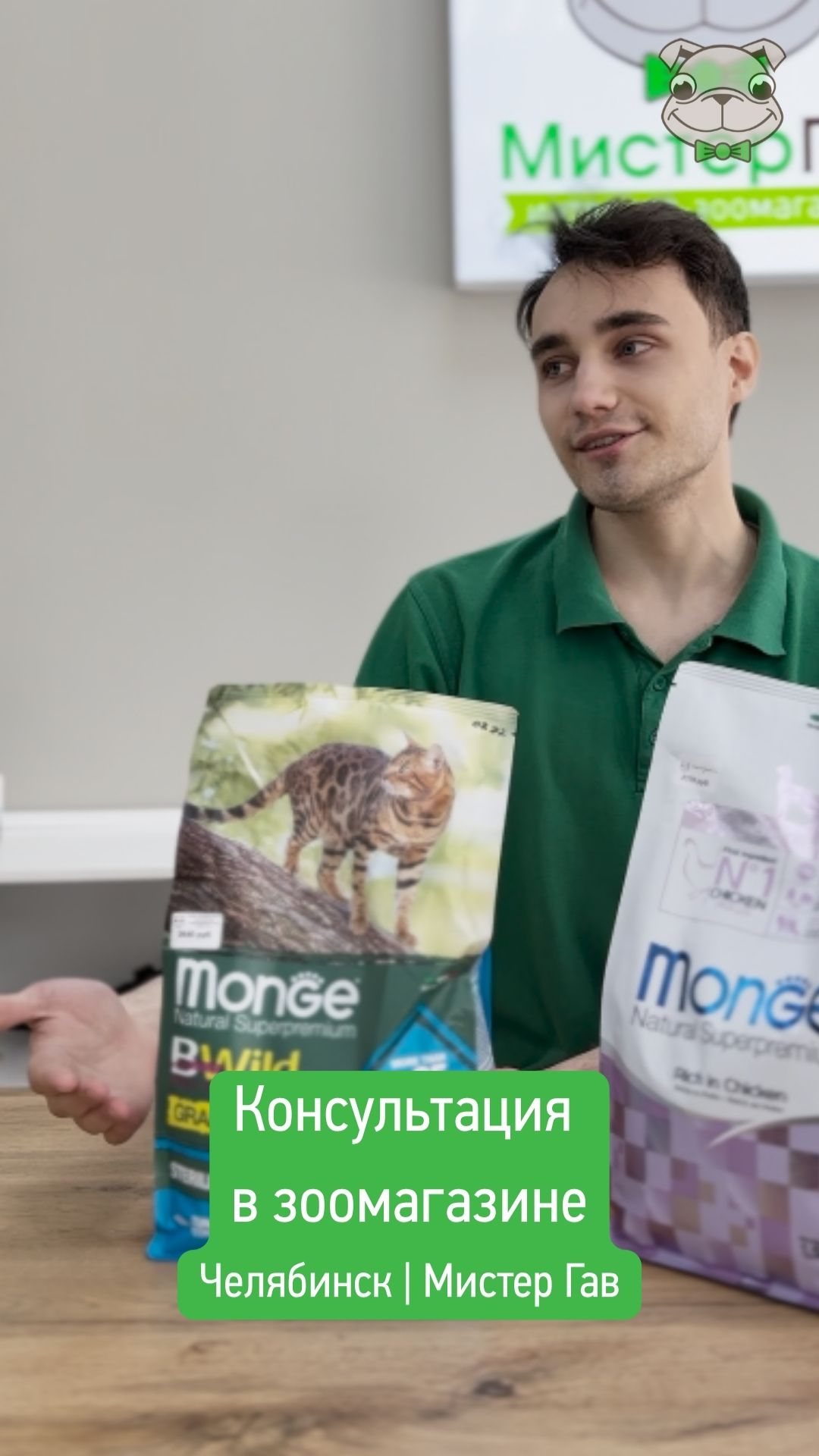 Как выбрать корм для кошки | Консультация в зоомагазине Мистер Гав, Челябинск