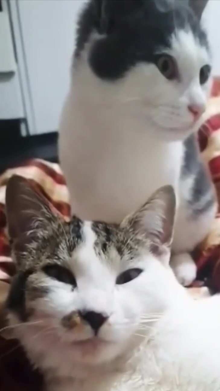 Доброго утра!🥰😻 04-05-2026