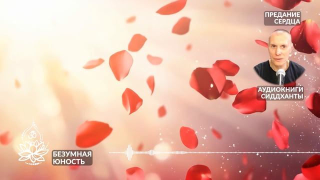Безумная юность. Аудиокниги Сиддханты (Вячеслава Чернина)