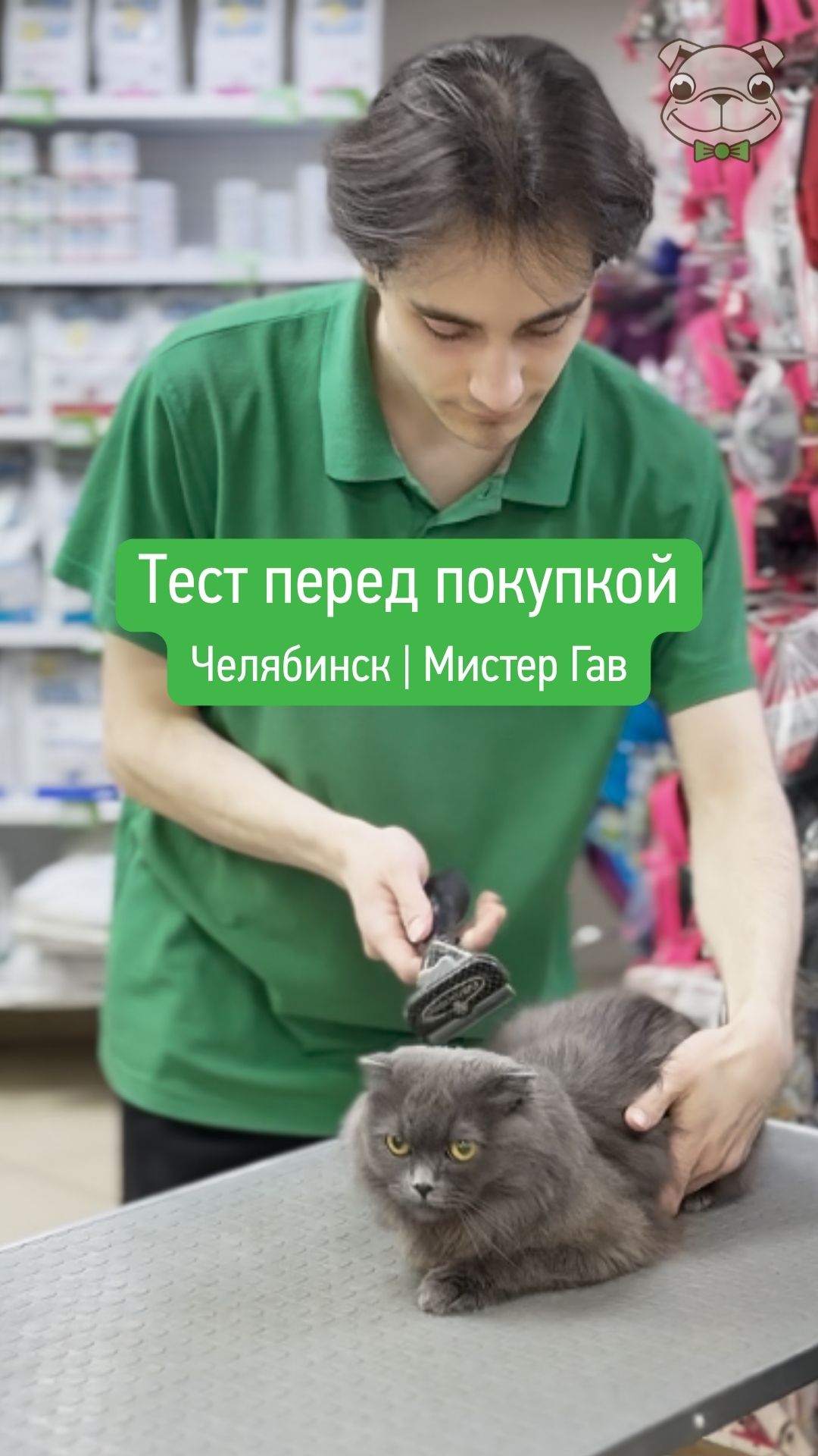 Тестирование товаров перед покупкой | Фурминатор для кошки или собаки  — Мистер Гав