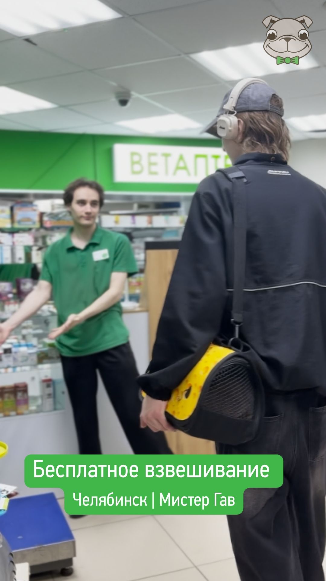 Бесплатное взвешивание кошки в переноске в зоомагазине Мистер Гав, Челябинск