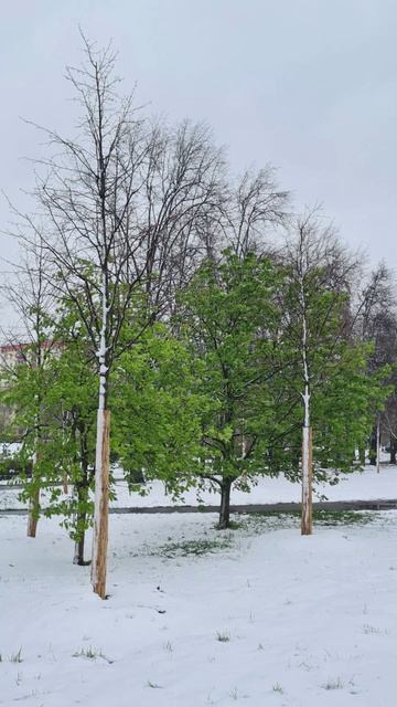 Фотопрогулка после снегопада 27 апреля