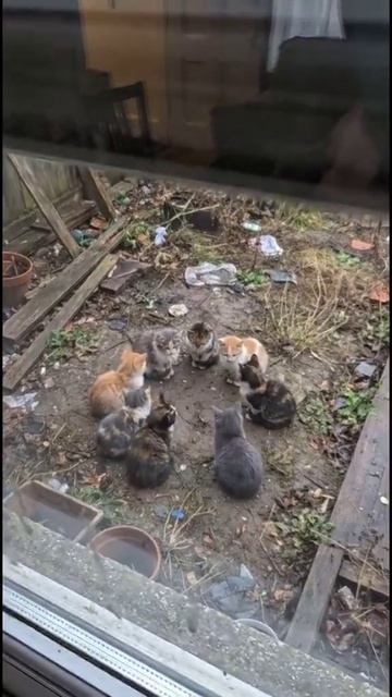 Зреет заговор