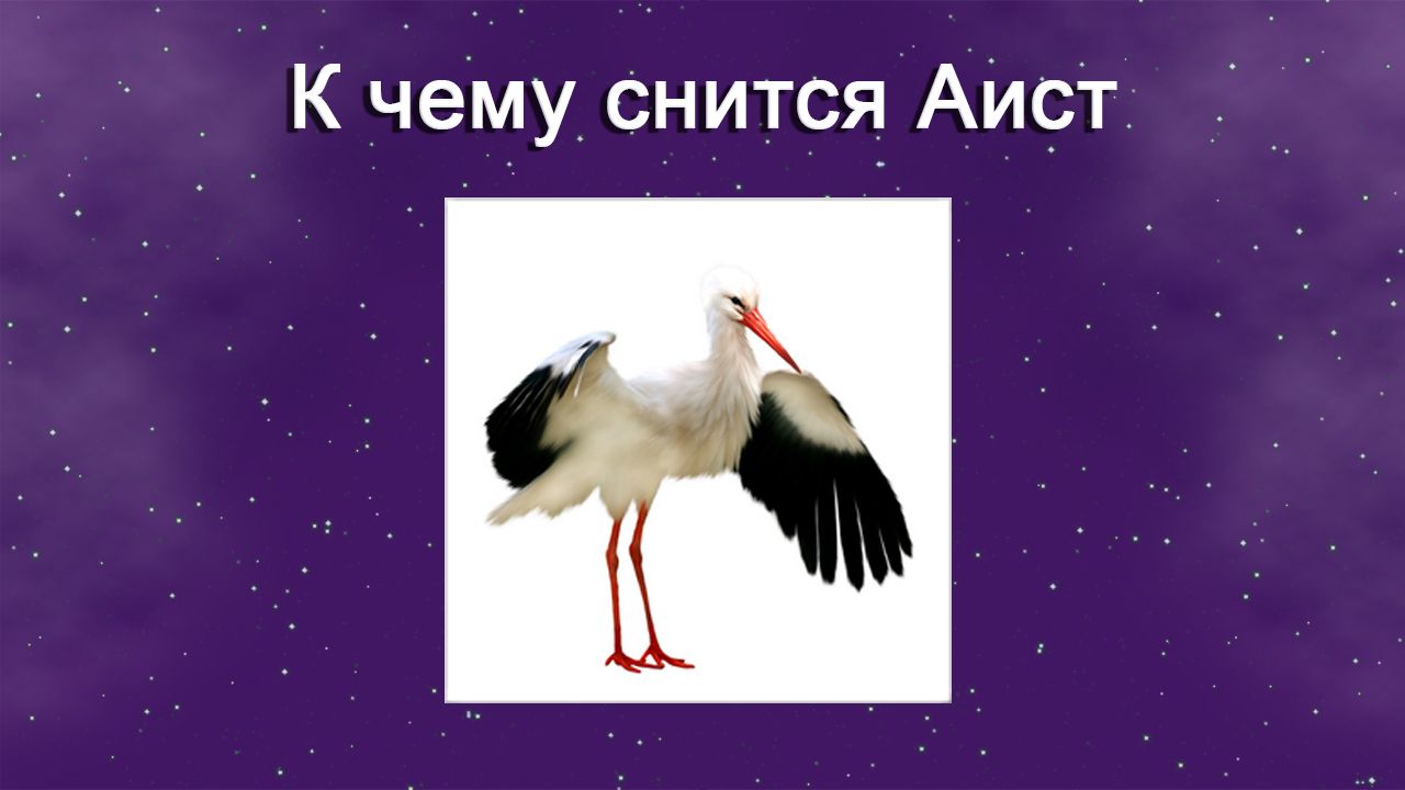 К чему снится Аист - толкование сна