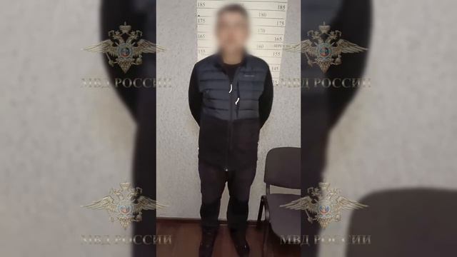 В Красноярском крае сотрудники полиции установили мужчину, причастного к поджогу леса