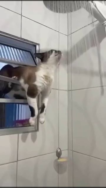 Ты мойся, я только попить