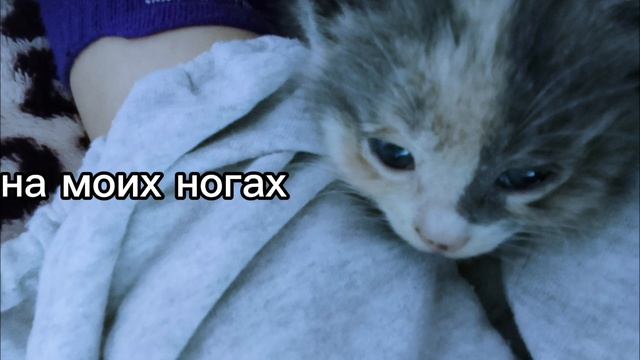 моё счастье ❤