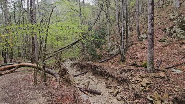 Каньон Узенбаш (Малый каньон Крыма) - начало каньона