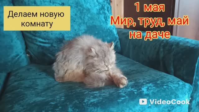 Майские на даче. Обустраиваем 2 этаж, сделали кровать, посадили хвойники. Выпуск 7/2026