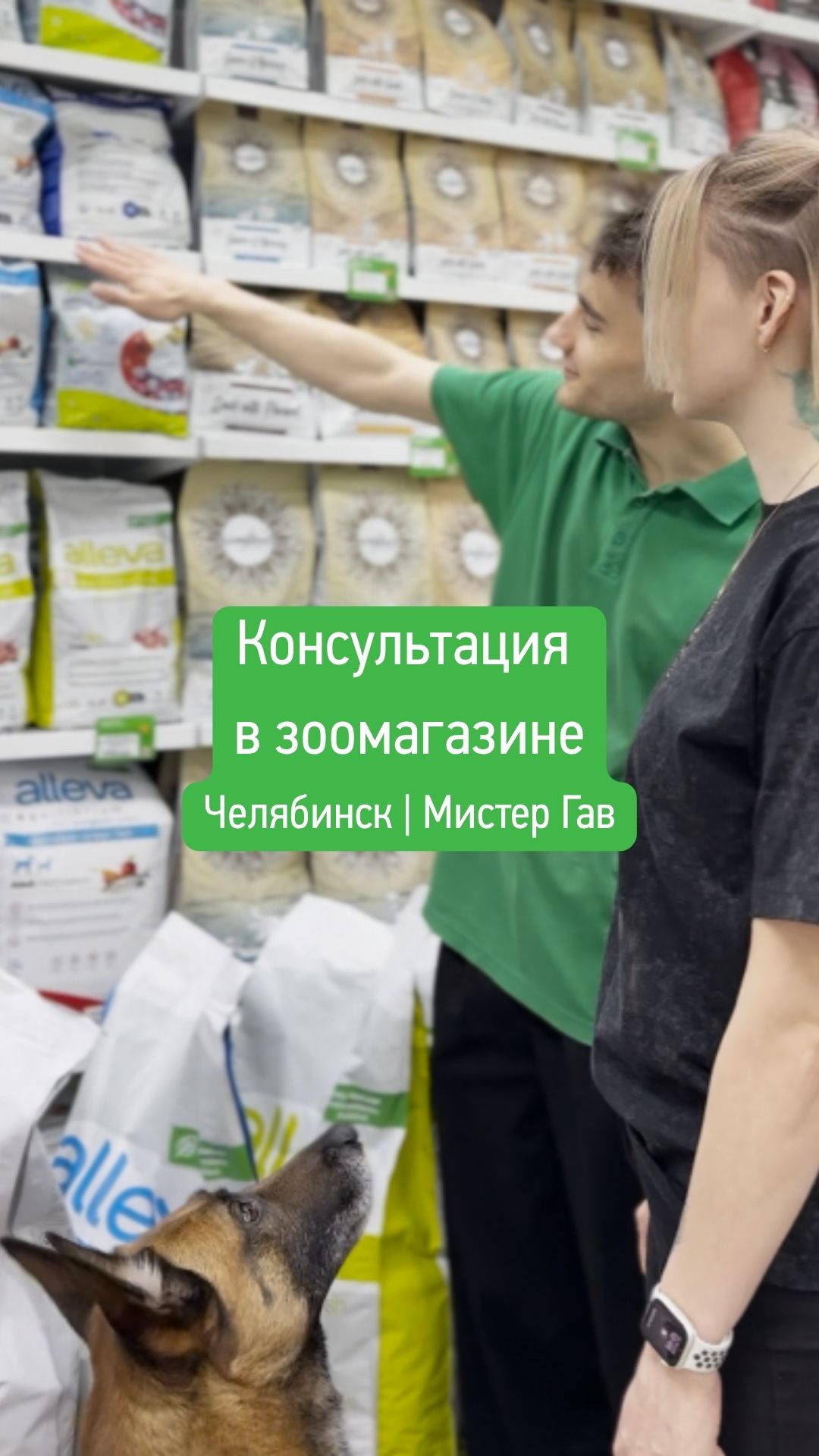 Как выбрать корм для собаки  Консультация в зоомагазине Мистер Гав, Челябинск