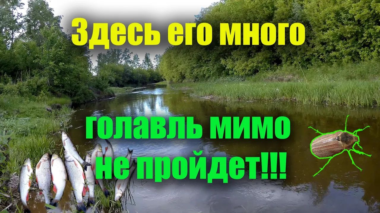 ОТЛИЧНЫЙ КЛЕВ ГОЛАВЛЯ на майского жука в проводку на малой реке. РЫБАЛКА в правильном месте! 25 мая.
