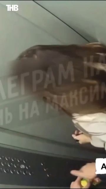 МВД дало первый комментарий по дикому избиению женщины в лифте Казани