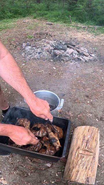 ЗРЯ УЕХАЛИ...