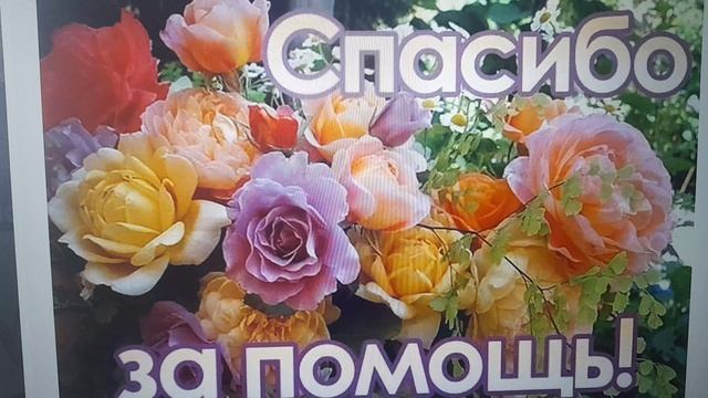 Благодарю Дину С. за денежку. Челлендж на доброту продолжается. 05.05.2026