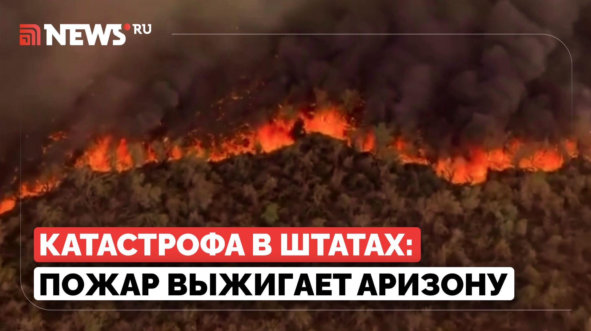 Лесные пожары в США: жители Аризоны в ужасе бегут от стены огня