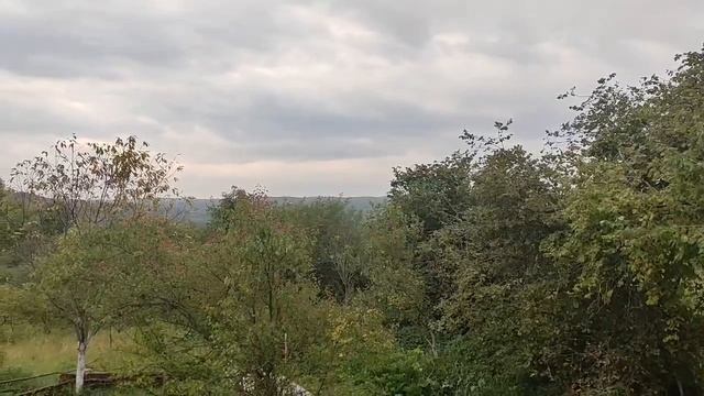 сад под дождем,а какой  воздух,жаль камера это не передает...