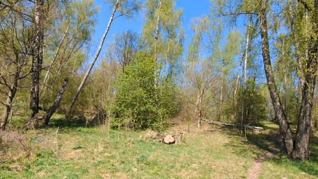 Расслабься! Весенний релакс.
