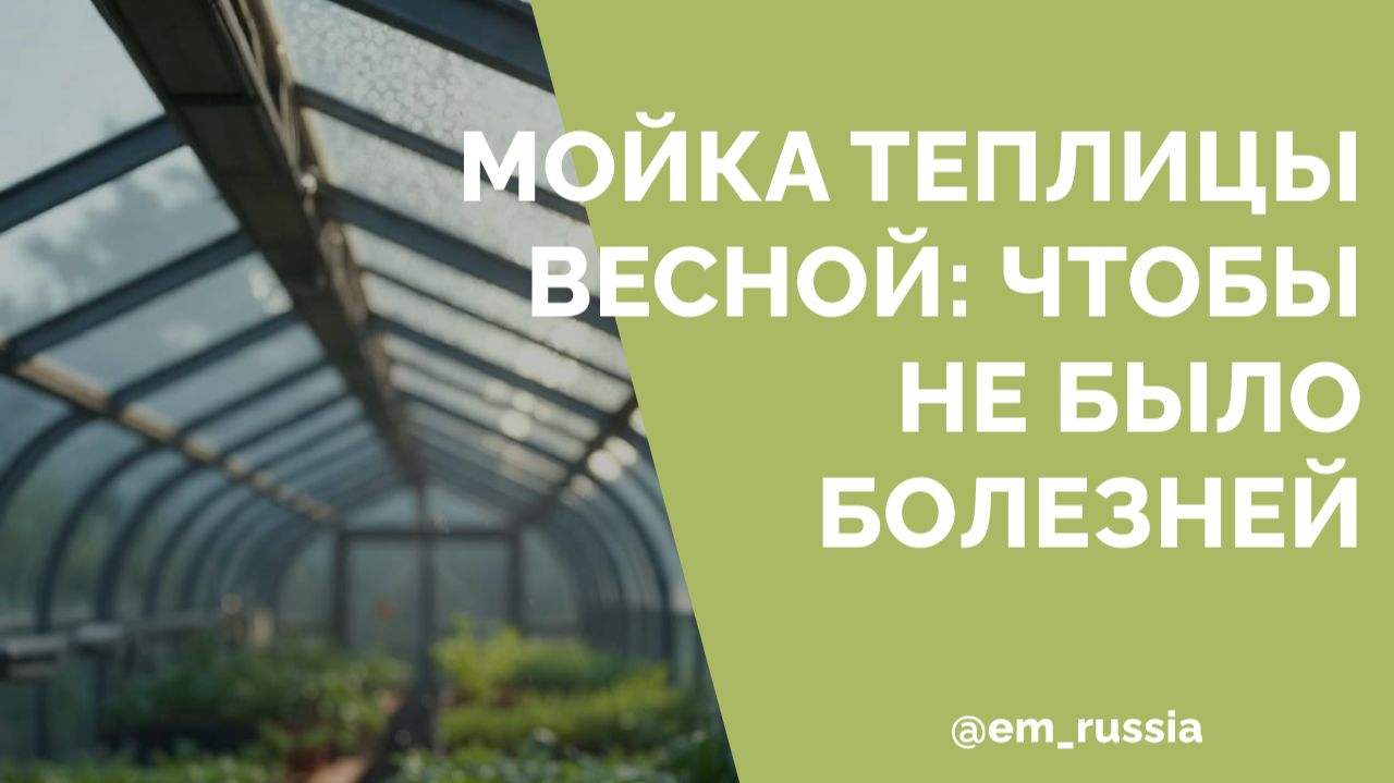 Мойка теплицы весной: чтобы не было болезней.